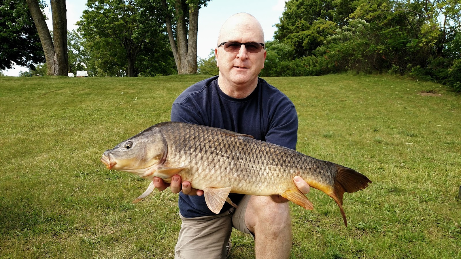 Michigan Carp Fishing Blog: Michigan DNR Bulletin - Know the Difference ...