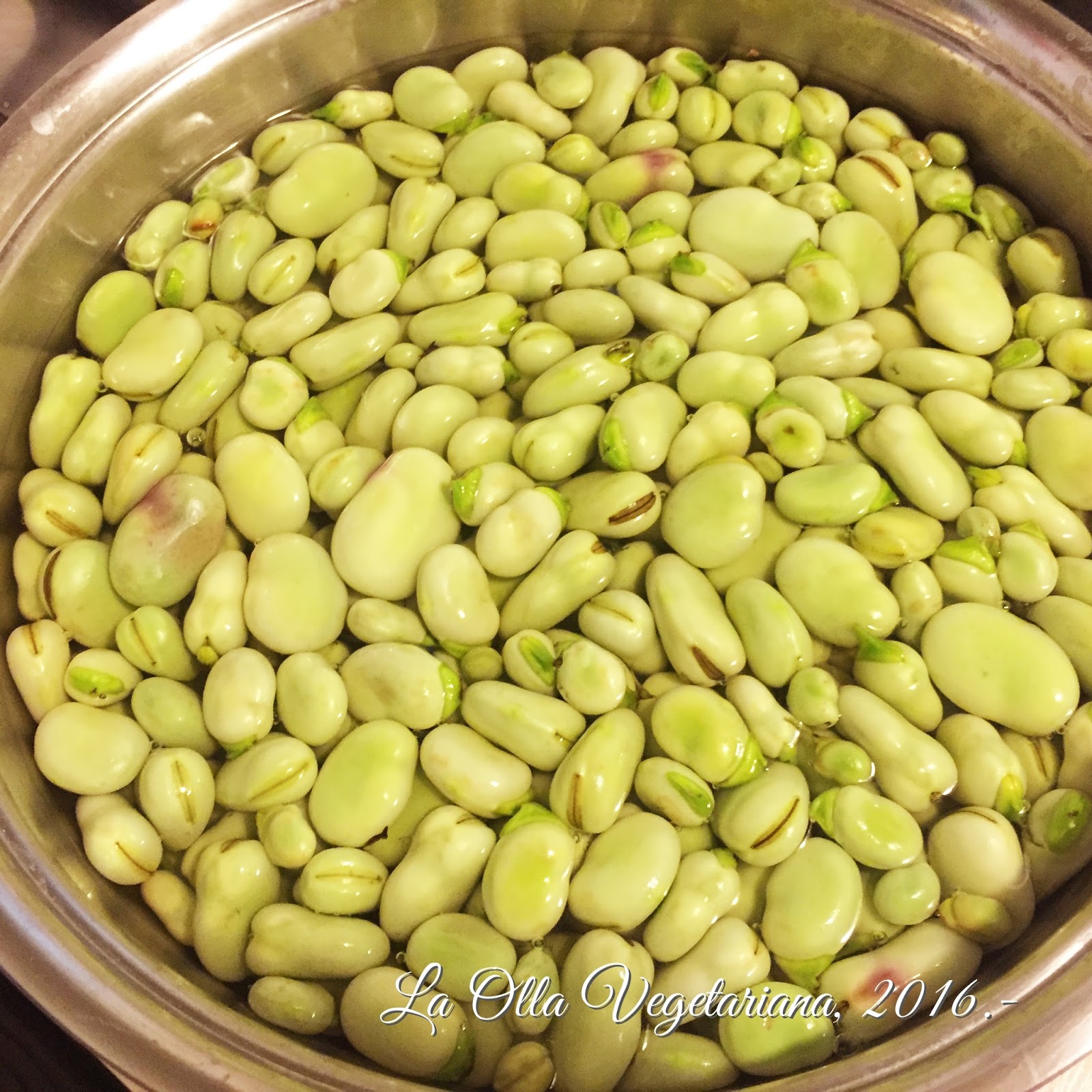 La Olla Vegetariana: Habas frescas en aceite.-