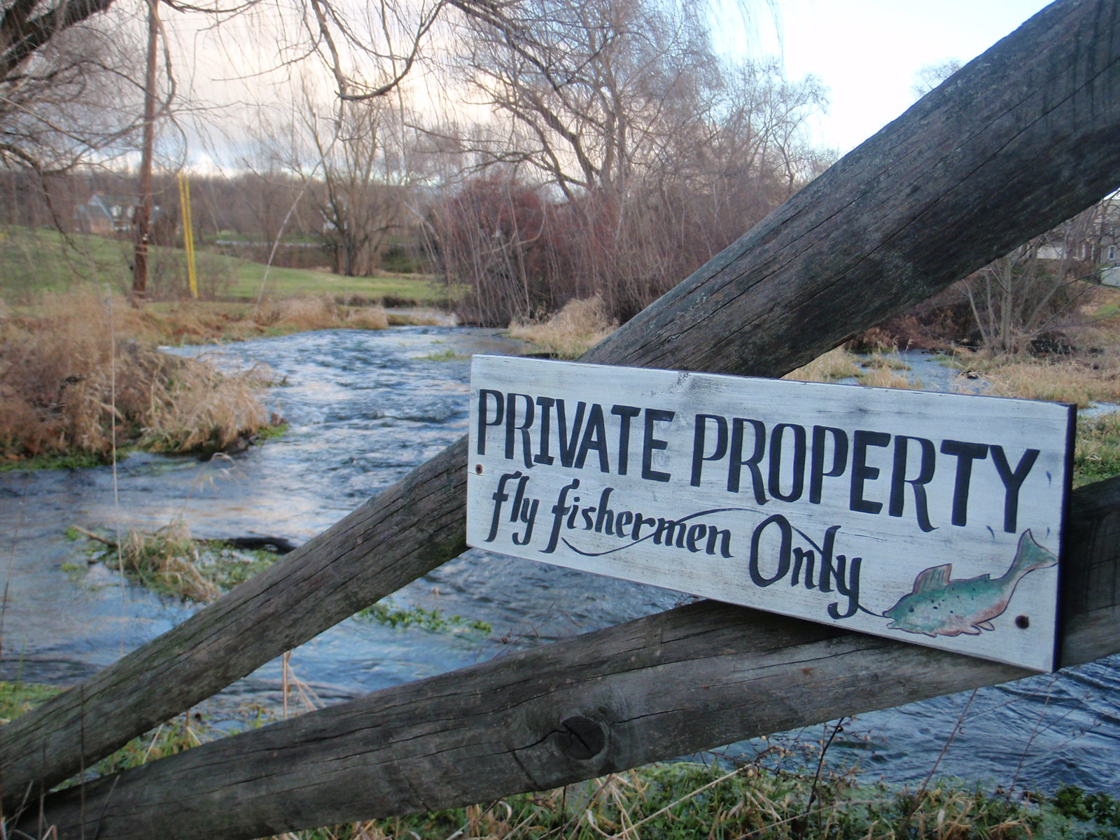 Chronicles of a Bug Flinger and Feather Lasher: The Magical Waters of ...