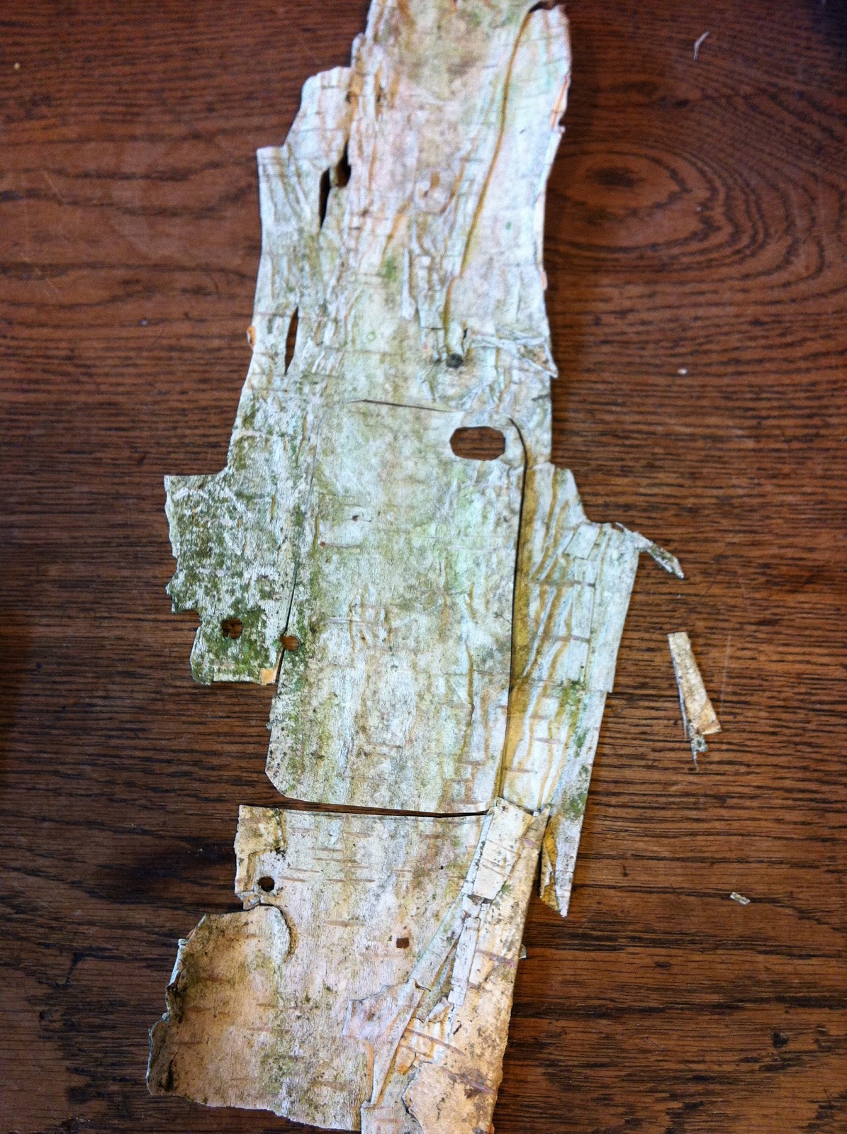 Smashing Rubbish: Birch Bark Phone Case