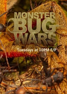 Monster Bug Wars | Documentary Film - Cosmos Documentaries | watch ...