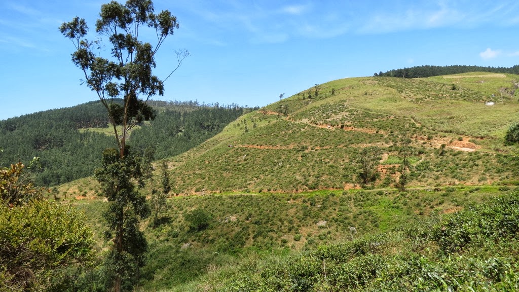 LakRoo Environmental Club: Delthota