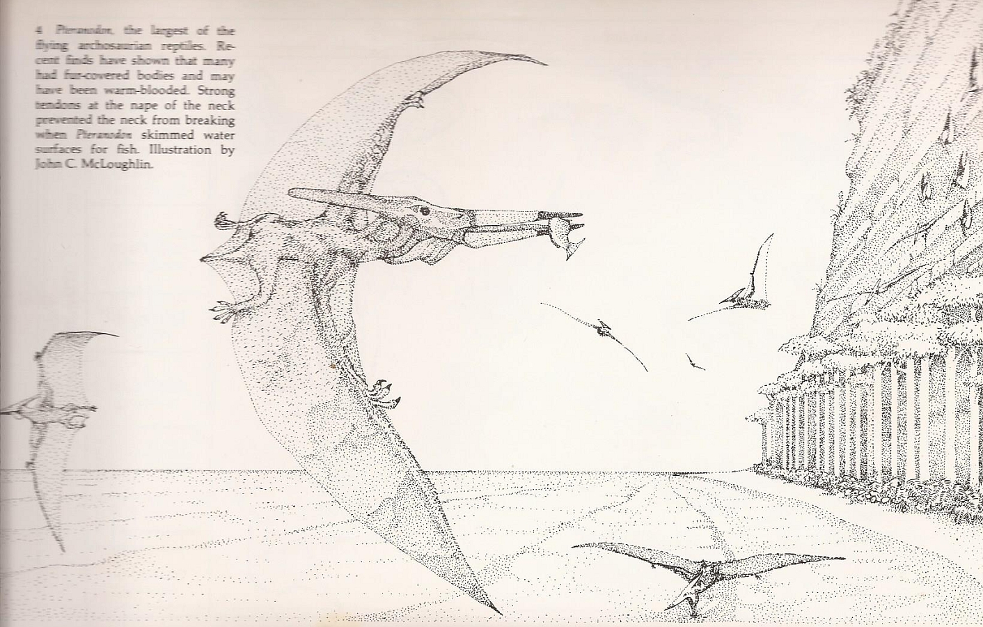 Love in the Time of Chasmosaurs: Vintage Dinosaur Art: Dinosaurs of the ...