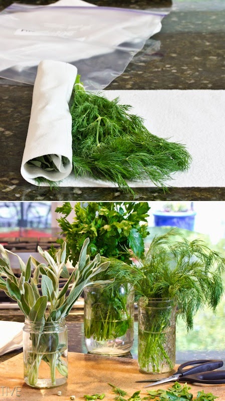 The best ways to store fresh herbs #Herbs