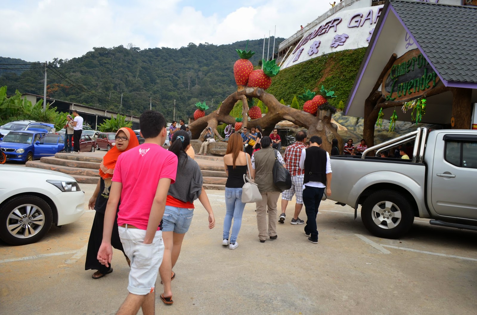 Our Journey : Pahang Cameron Highland - Kampung Raja Lavendar Garden