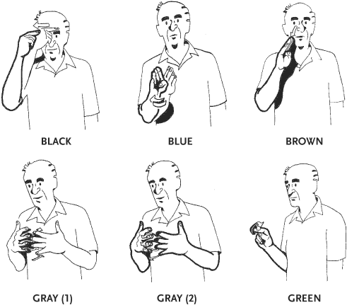 Thirteen Stripes and Fifty Stars: American Sign Language II