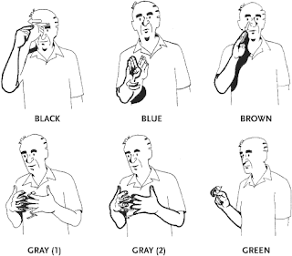 Thirteen Stripes and Fifty Stars: American Sign Language II