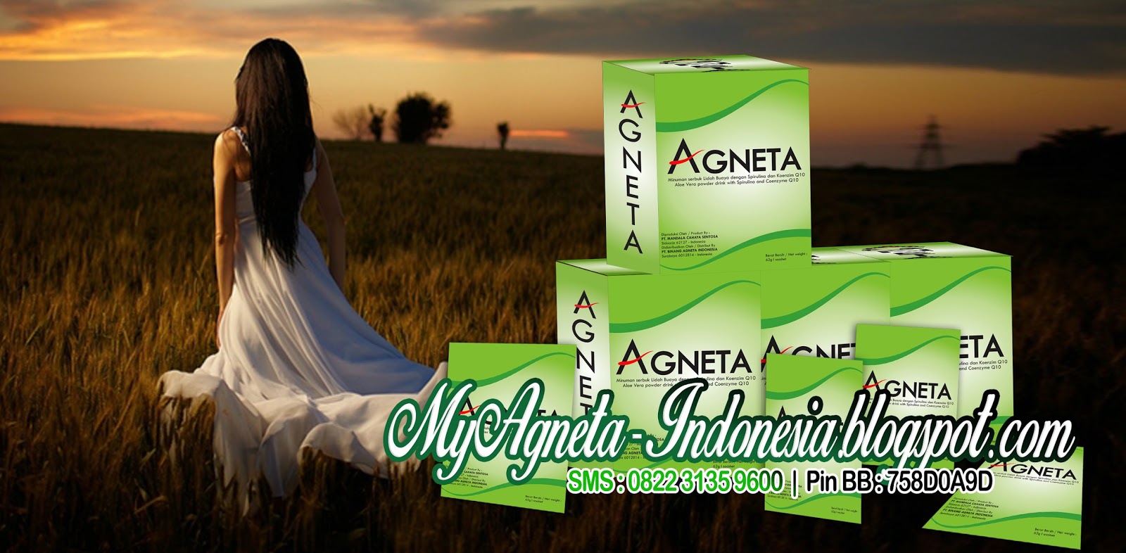Agneta Indonesia