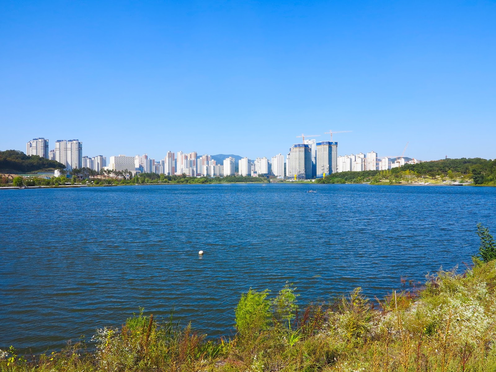 suwon gwanggyo lake park , big park in korea. - DOL I 'S BLOG