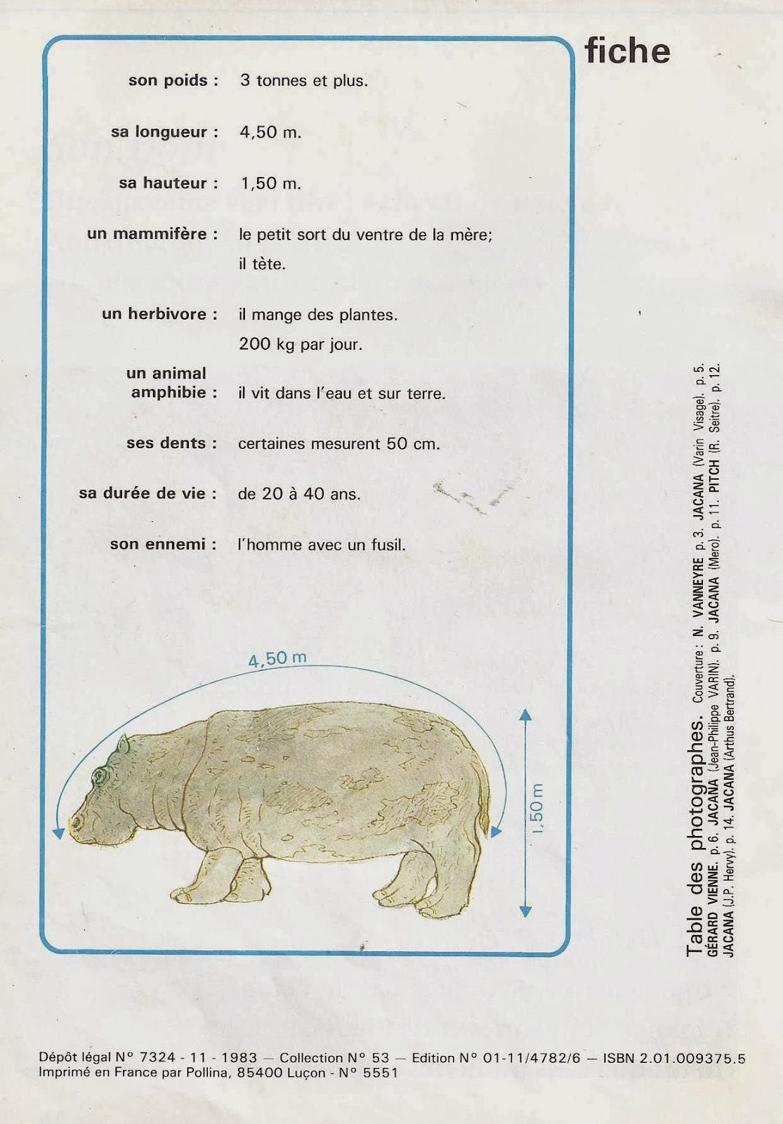 Leçons de choses: L'hippopotame
