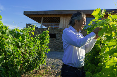 Le blog de Nicolas de Rouyn: Gérard Bertrand, le bio-man du Languedoc