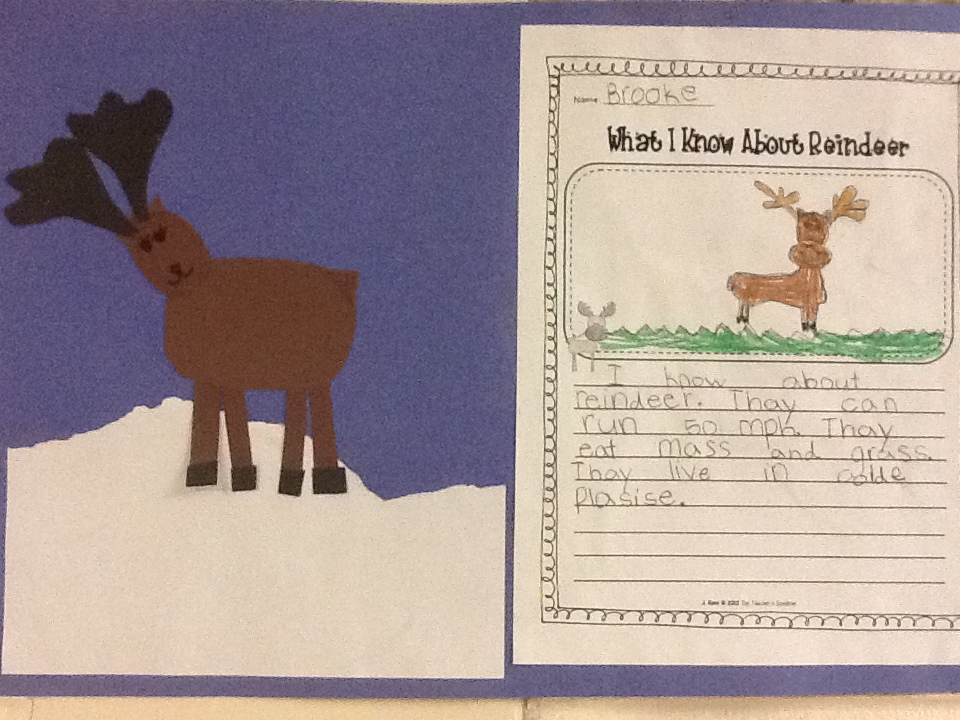 Dog Blog: Reindeer Research