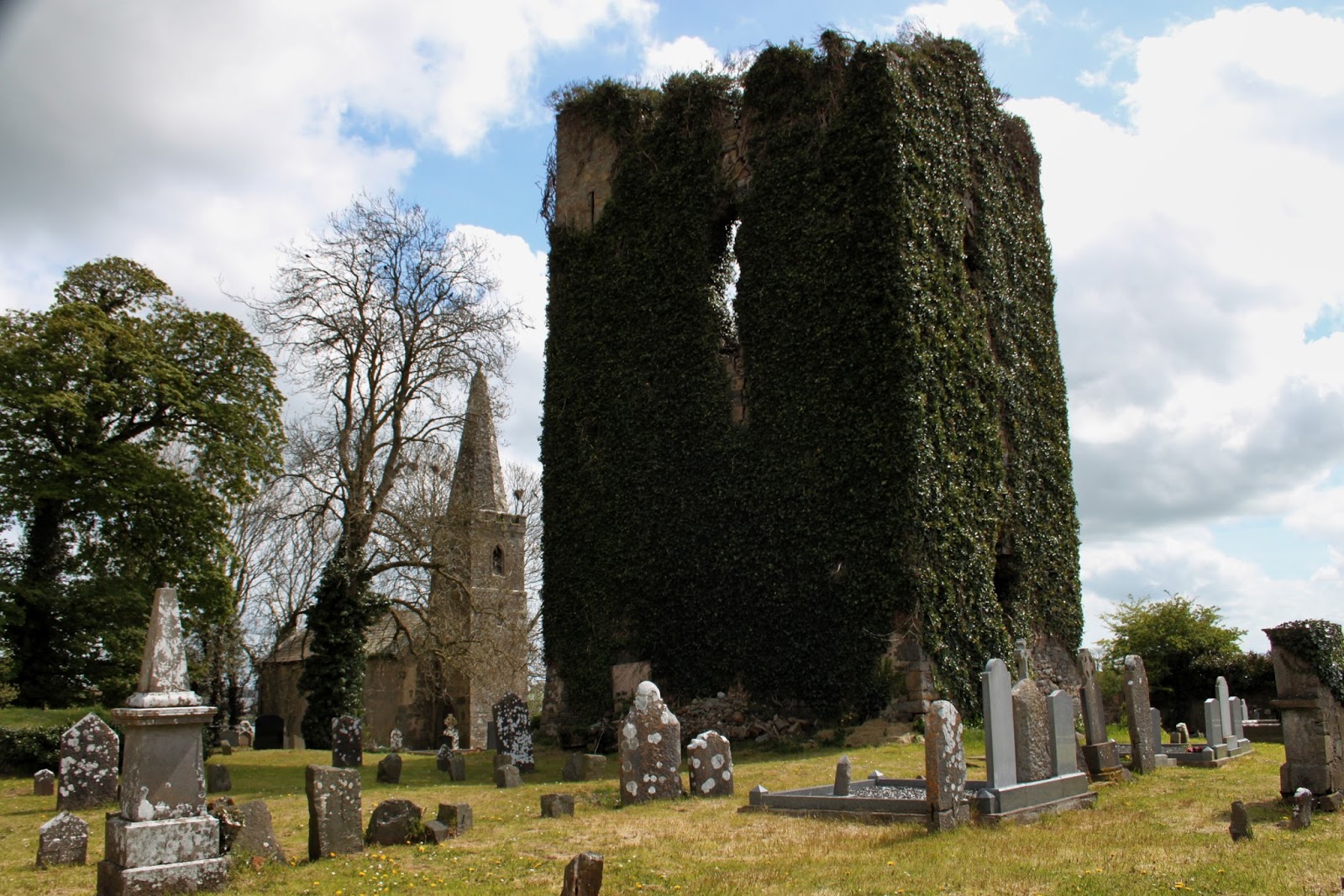 Historic Sites of Ireland: Bruree Castle (aka Ballynoe)