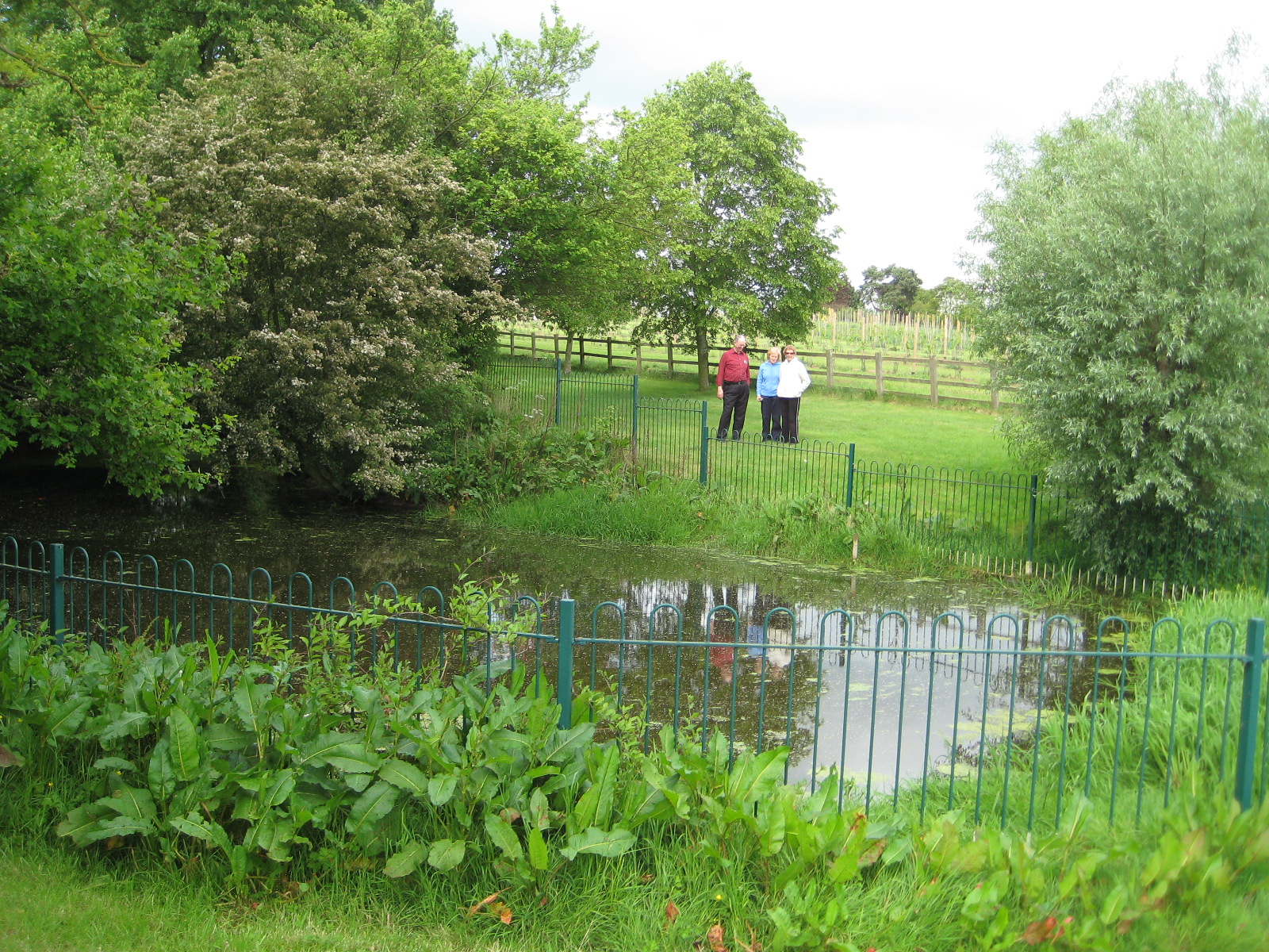 Postcards from Preston: Benbow Farm and Gadfield Elm