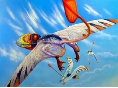 fenomena: Dimorphodon