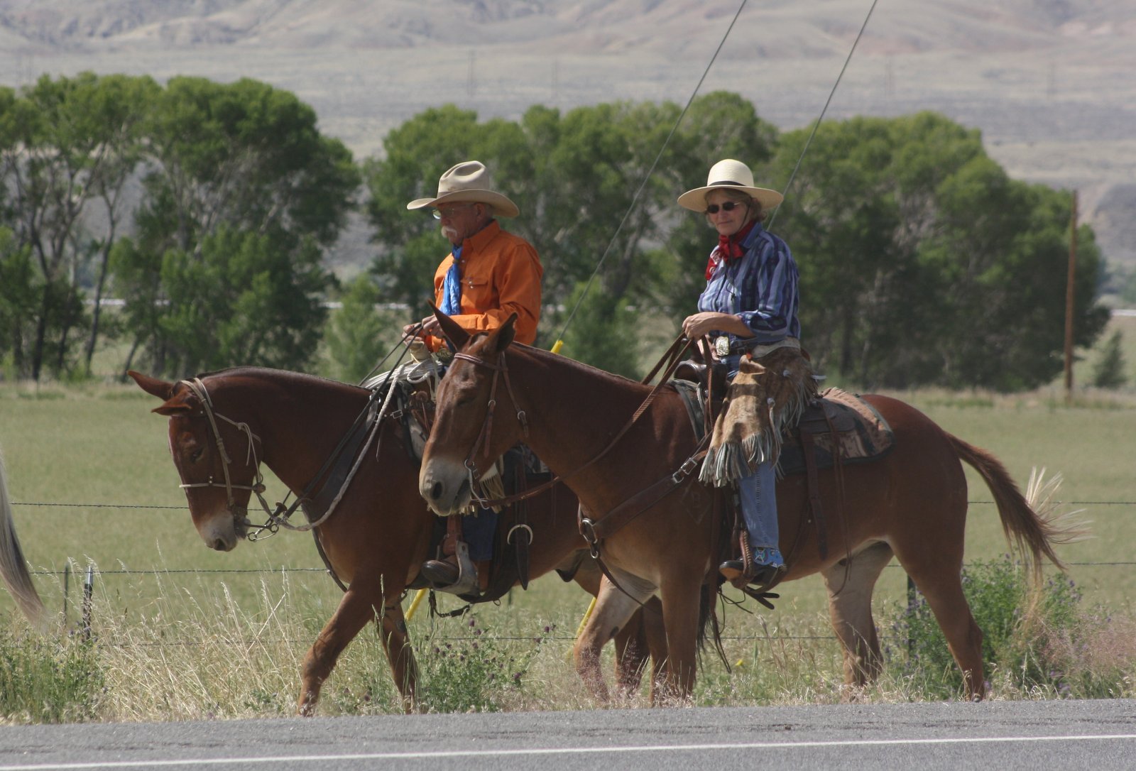 PairADice Mules: Jake Clark Mule Day Parade