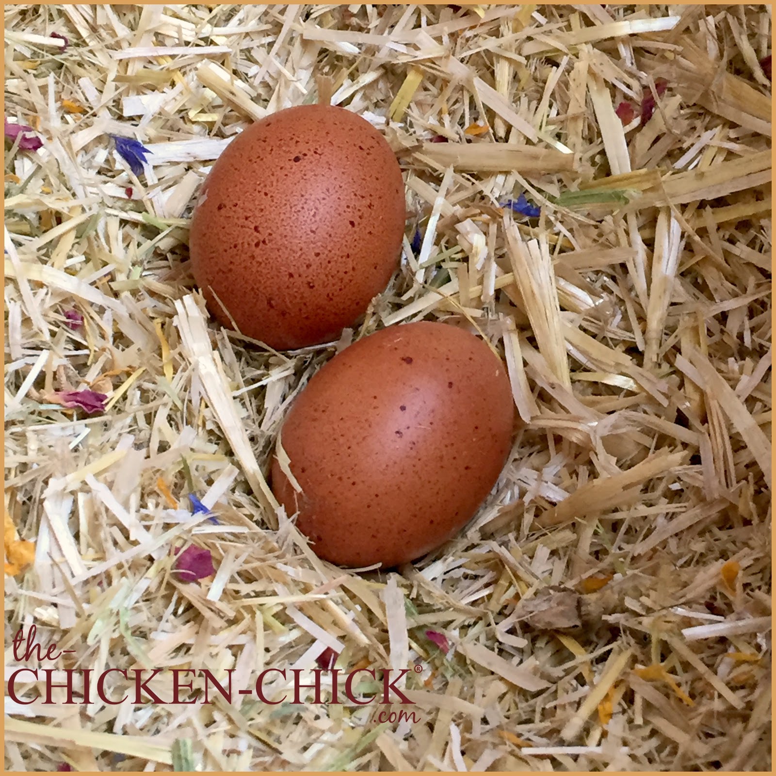 Why Nesting Fabric Matters For Backyard Chickens