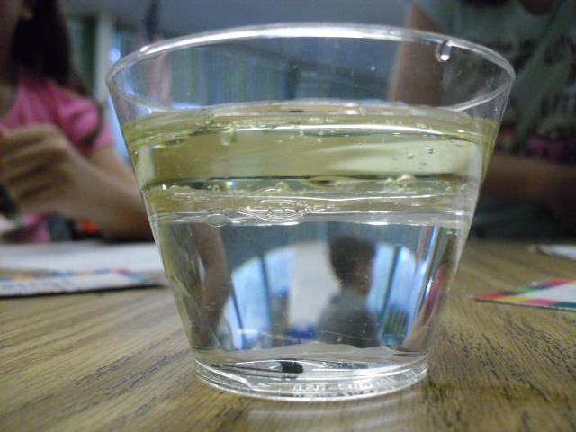 Room 203 - Mrs. Cunha: Refraction Experiment
