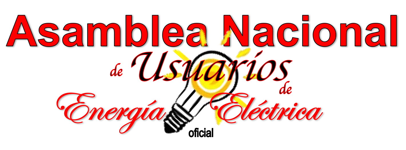 Asamblea Nacional de Usuarios (oficial): Declaración de Principios