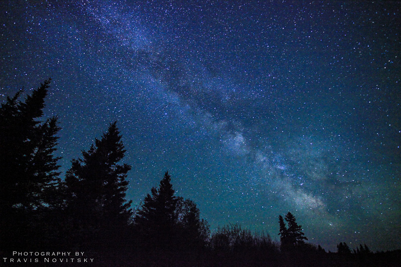 Galaxy Forest Wallpaper Wall