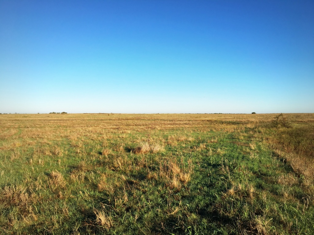 Land of LIQUID: OK Wheat Pasture Update