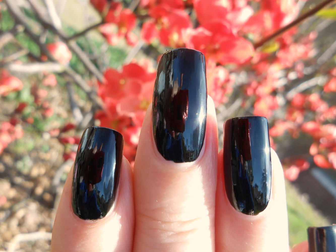 PicturedTinsel: Orly Liquid Vinyl
