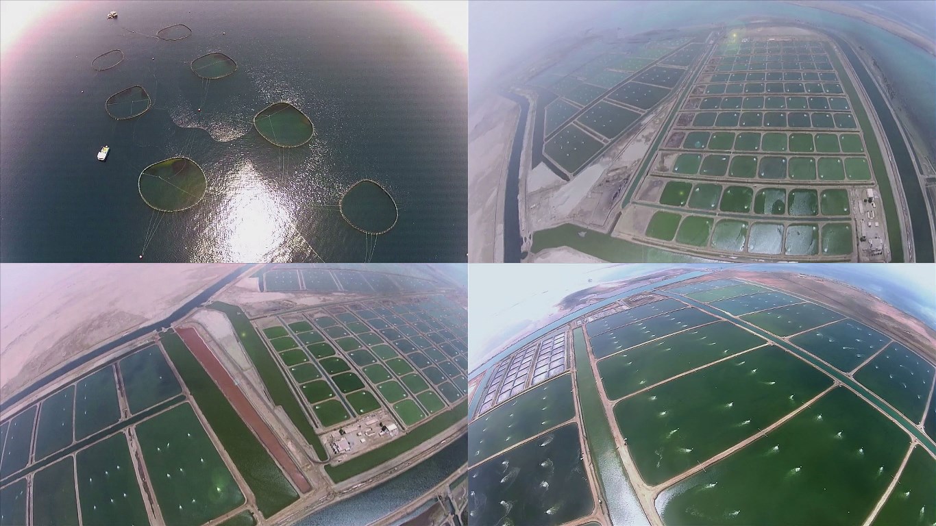 National Aquaculture Group (NAQUA)