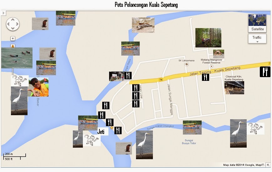 KUALA SEPETANG ECO TOURISM Matang Mangrove Forest Reserve Tour, Bird ...