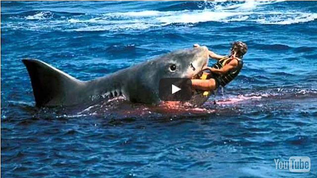 10 Most Dangerous Sharks to Humans