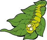 sxolikes...ataxies: ΠΕΤΑΛΟΥΔΑ-ΠΑΡΑΜΥΘΙ