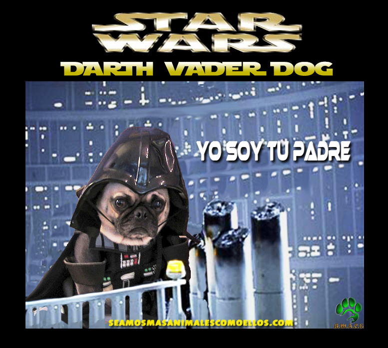 DARTH VADER DOG - Seamos Mas Animales Como Ellos - SMACE