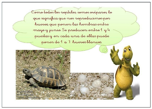 El Arco Iris de Mary