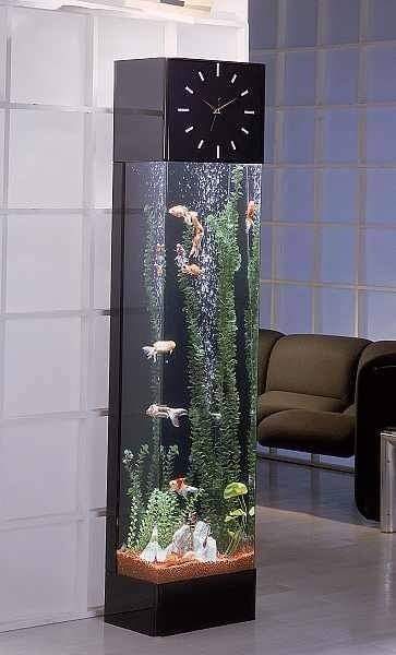 Aquarium design 👌 👌 👌 - INFO PROPERTI INDONESIA