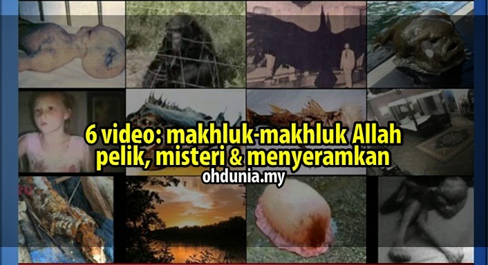Makhluk-Makhluk Allah Yang Pelik, Misteri dan Paranomal (6 Video ...