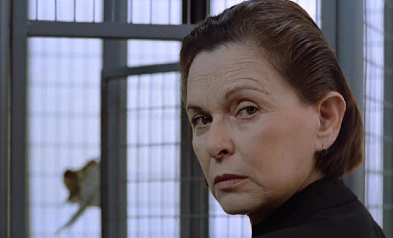 MCBASTARD'S MAUSOLEUM: MOON CHILD (1989) (Cult Epics Blu-ray Review)