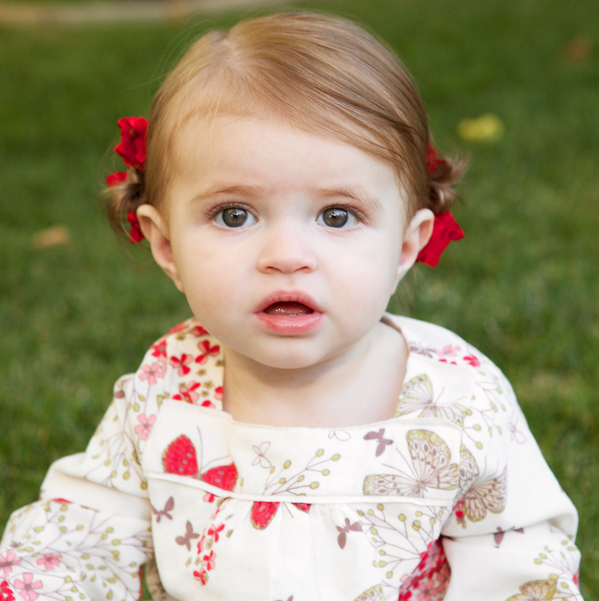 Take Out Photo: Take-Out Photo texture toolbox