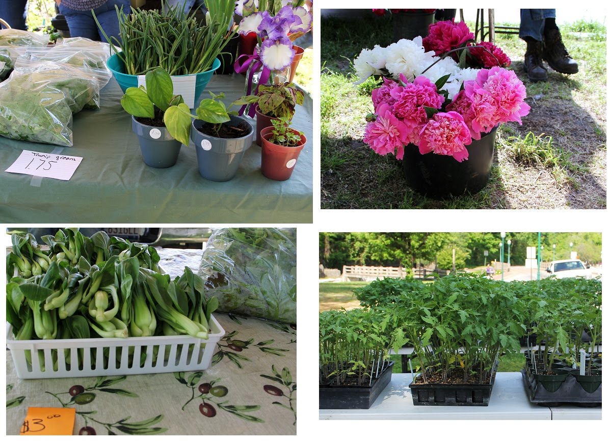 Living Creatively: Farmers' Market in Small Town, and my other loves