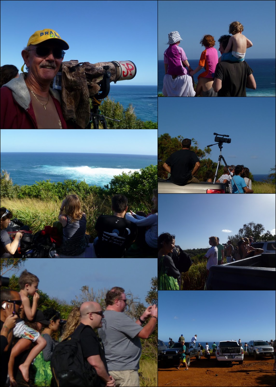 Maui Jungalow: Jaws and the Beach