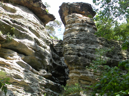 A Little Bit of Land