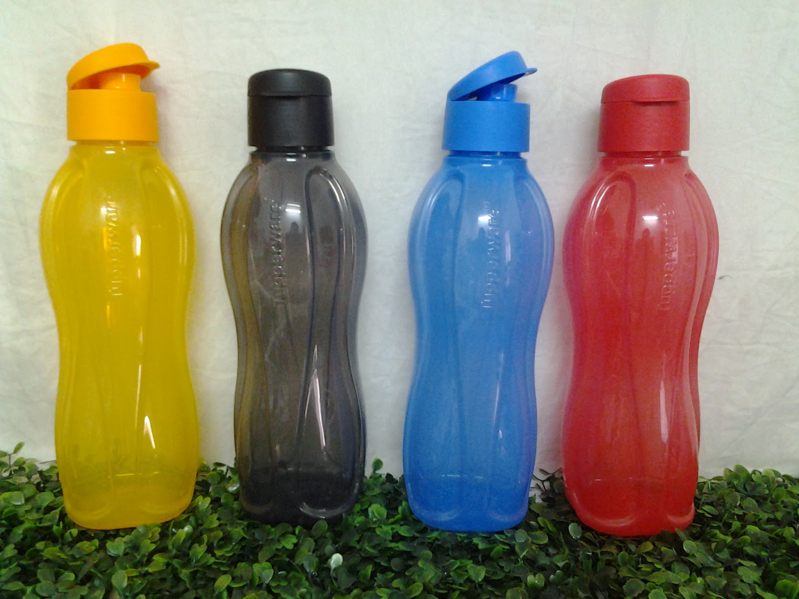 MySarah Tupperware Syndicate: Eco Bottle