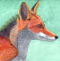 Le Roman de Renart: Le pèlerinage de Renart - Les remords d'un voyou