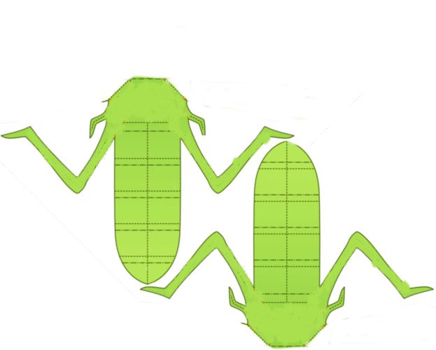 A school of fish: Nocturnal Animal games and Chirping Cricket Craft