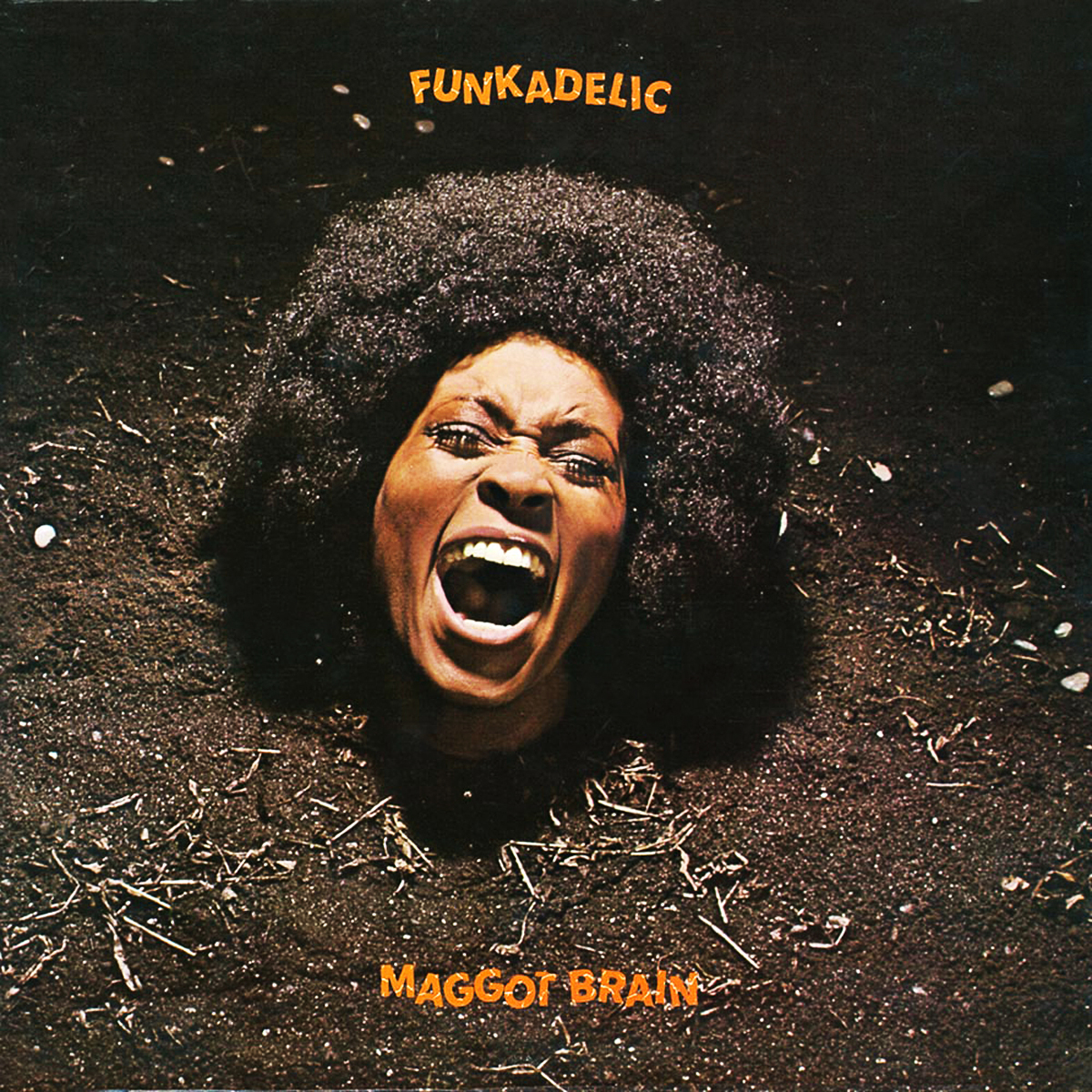 Deviations from Select Albums 4: 128. Funkadelic - Maggot Brain