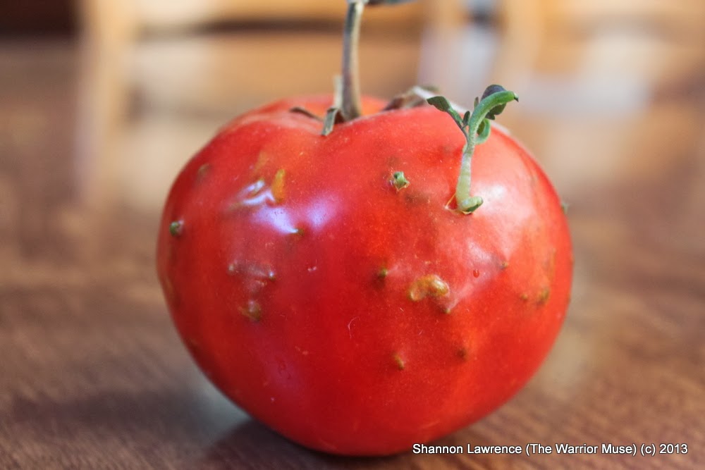 Grass goes in. Grass grows out. : r/pics