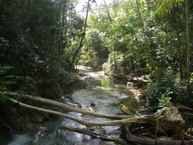 Vacation Barefoot Travel Blog: Mayfield Falls in Jamaica - a personal ...