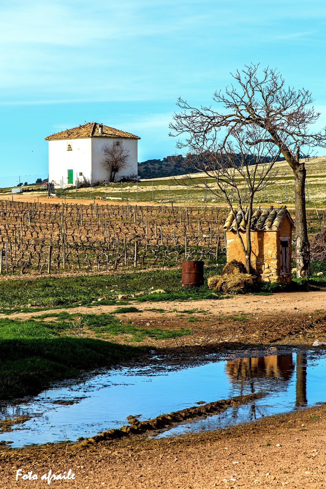 Mi Album de Fotos: EL PUERTO-TOBARRA (Albacete).