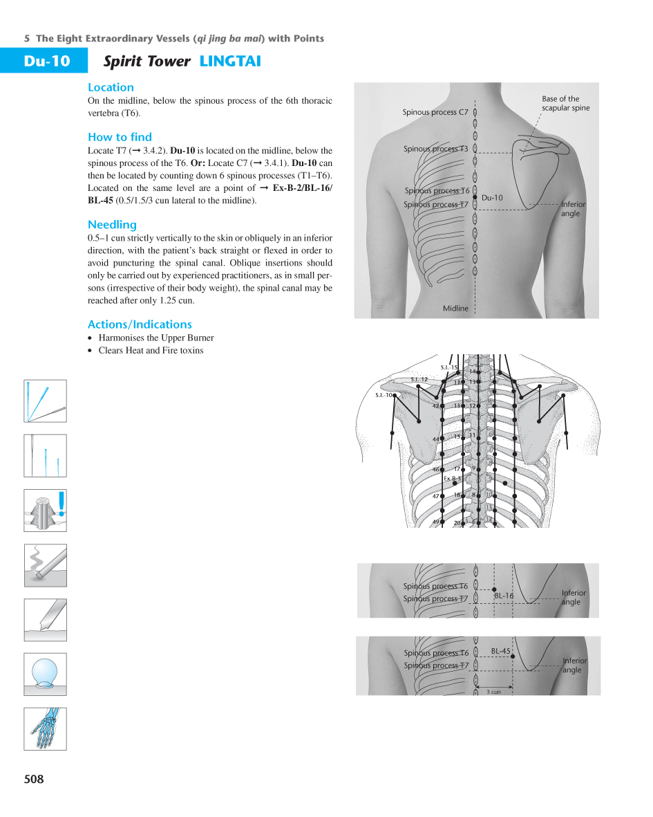 Acupuncture Masters: Acupuncture Points Database - Du Channel