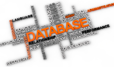 Macam Contoh DBMS Dan Informasi Lainnya Seputar DBMS