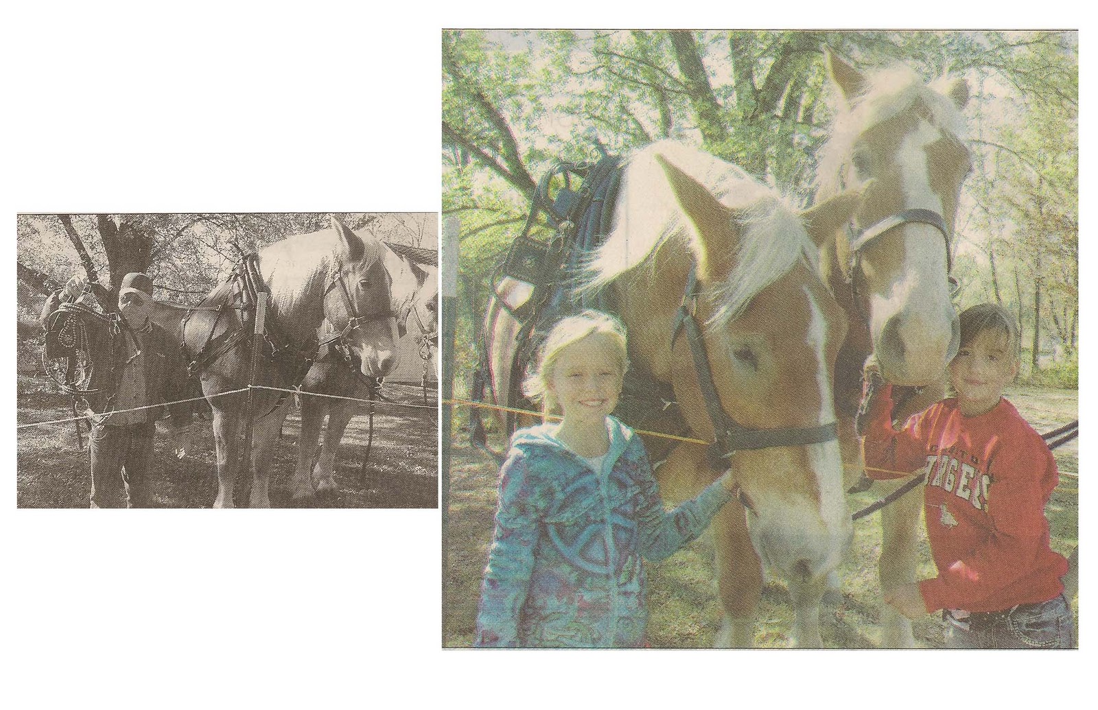 Russell (Iowa) Historical Society: 2011