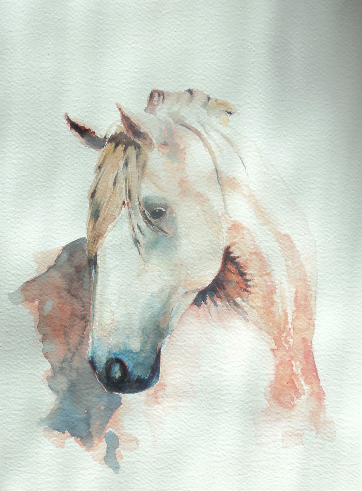 Javier CRUZ: Caballos - acuarelas